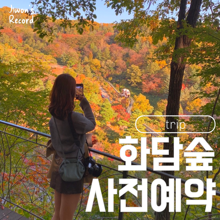 서울 근교 단풍 명소 화담숲 예약방법 모노레일 탑승팁 등 총정리 네이버 블로그
