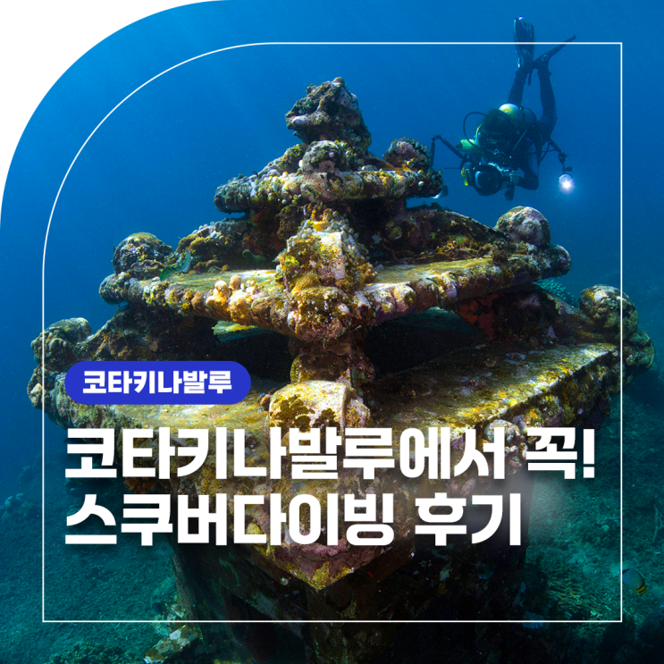 코타키나발루 스쿠버다이빙 스마일kk투어 펀다이빙 예약방법 및 후기 : 네이버 블로그