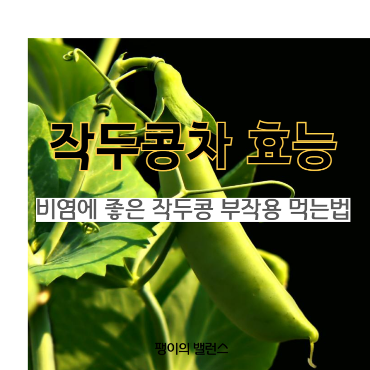 비염에 좋은 작두콩차 효능 부작용 먹는법 네이버 블로그