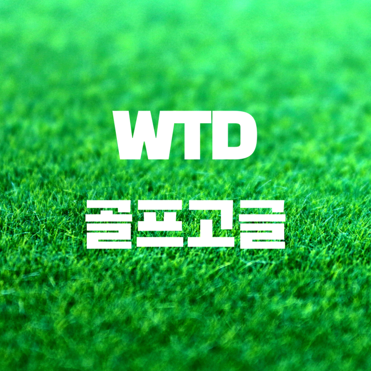 WTD 골프고글 특징 장단점 추천 모델 : 네이버 블로그