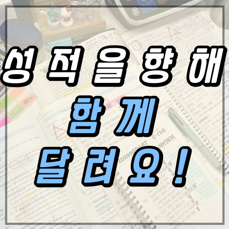 장안구 정자동 영어과외 천천동 국어과외 학생맞춤 커리큘럼 네이버 블로그