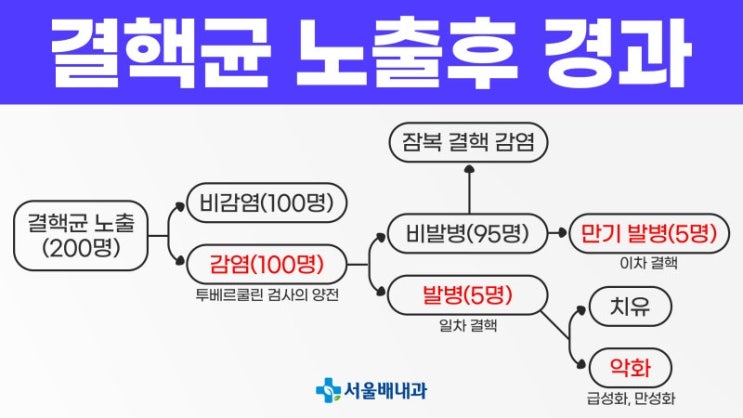 잠복결핵검사 확인서, IGRA, PPD 검사 비교, 비용 및 병원 안내 : 네이버 블로그