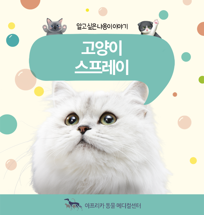 고양이 실내 마킹 이유와 대책 : 고양이 스프레이 교정 방법 : 네이버 블로그