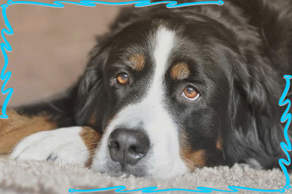 일본 여행 나가사키 여행지 추천 best 3 : 네이버 블로그