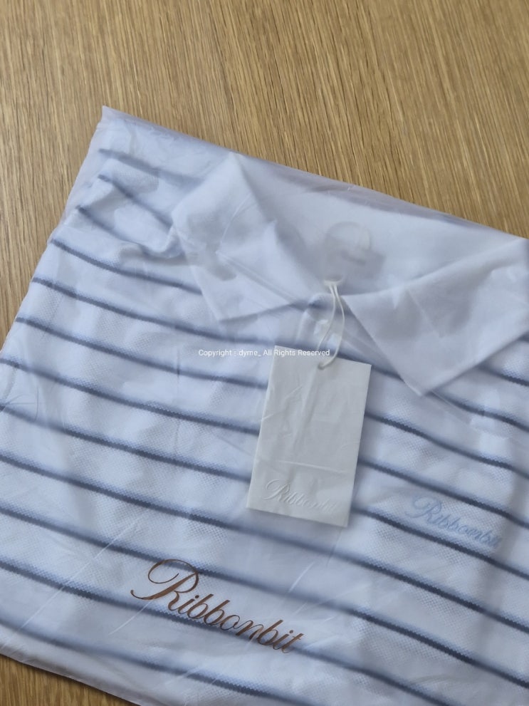Ribbonbit 리본빛 : RBB Striped PK Shirt - Sky Blue : 네이버 블로그