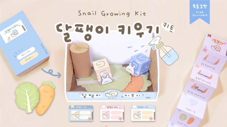 [따니네 만들기] 달팽이 키우기🐌🐚 Snail Growing Kit : 네이버 블로그