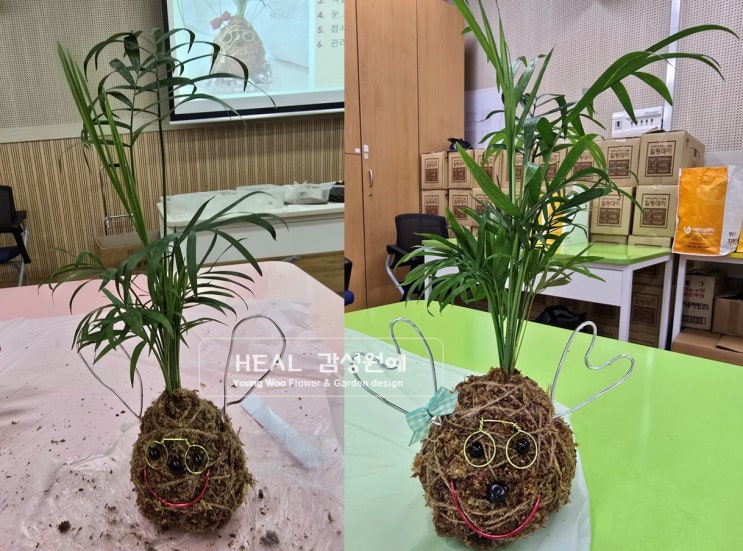 어르신 원예 수업 - 토피어리 : 네이버 블로그