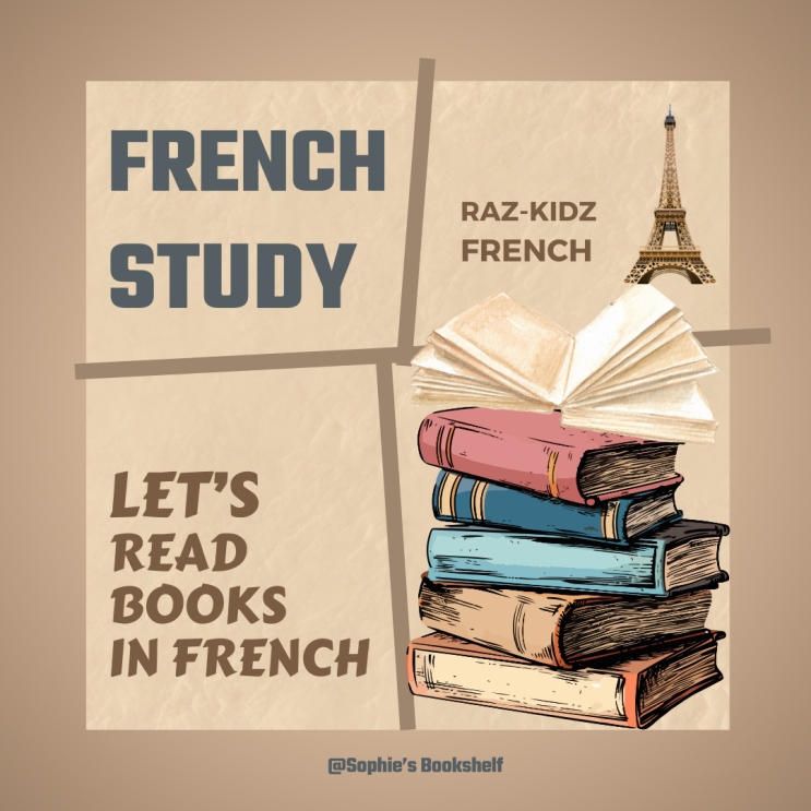 프랑스어 공부 6개월에 찾아온 슬럼프 어떻게 극복할까? : 네이버 블로그