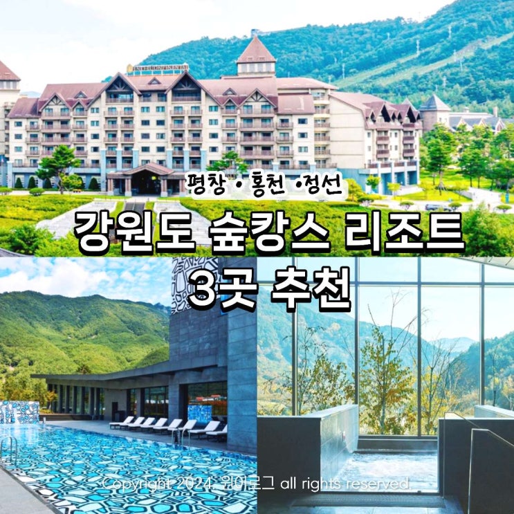 강원도 숲캉스 호텔 리조트 추천 인터컨티넨탈 알펜시아 힐리언스 선마을 파크로쉬 네이버 블로그