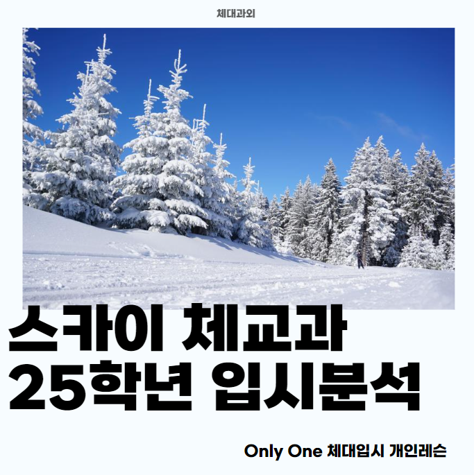 서울대 연세대 고려대 체육교육과 정시 등급 실기 입결 스카이 체교과 네이버 블로그