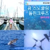 괌 돌핀 크루즈 투어 스노쿨링 추천 후기 준비물 네이버 블로그