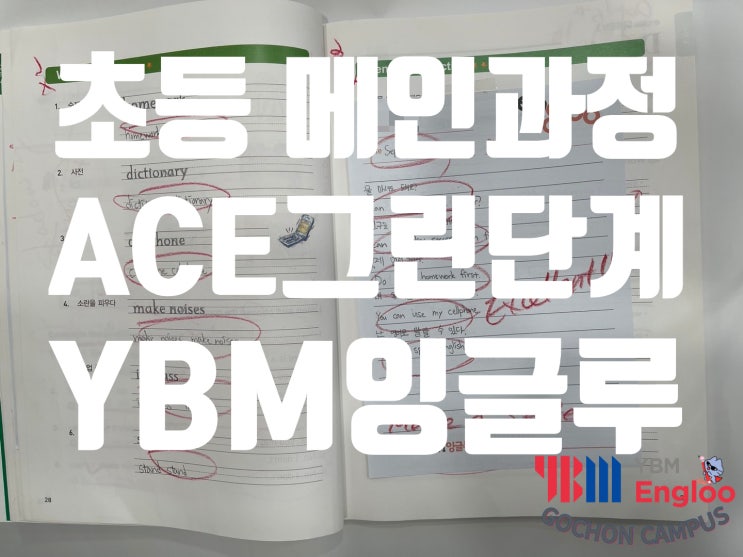 초등 메인 과정 - ACE 그린 단계 커리큘럼 안내 [고촌 영어학원 YBM 잉글루] : 네이버 블로그