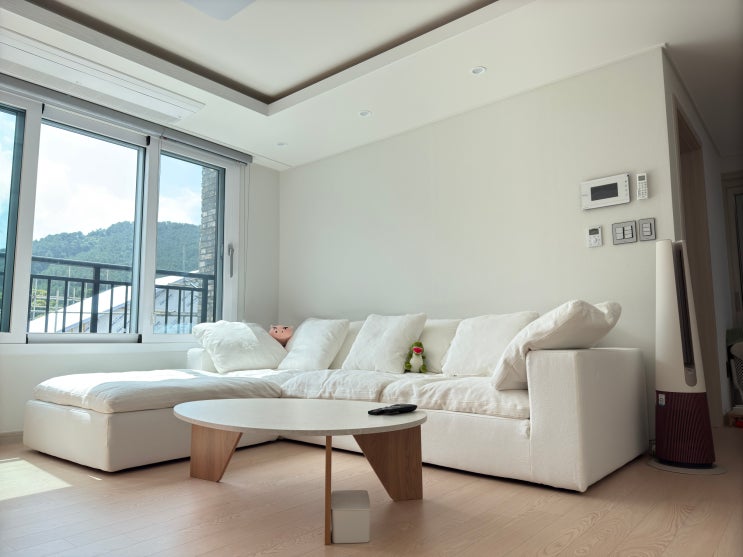 아저씨의 일상 feat.듀커소파 DK238 후기 : 네이버 블로그