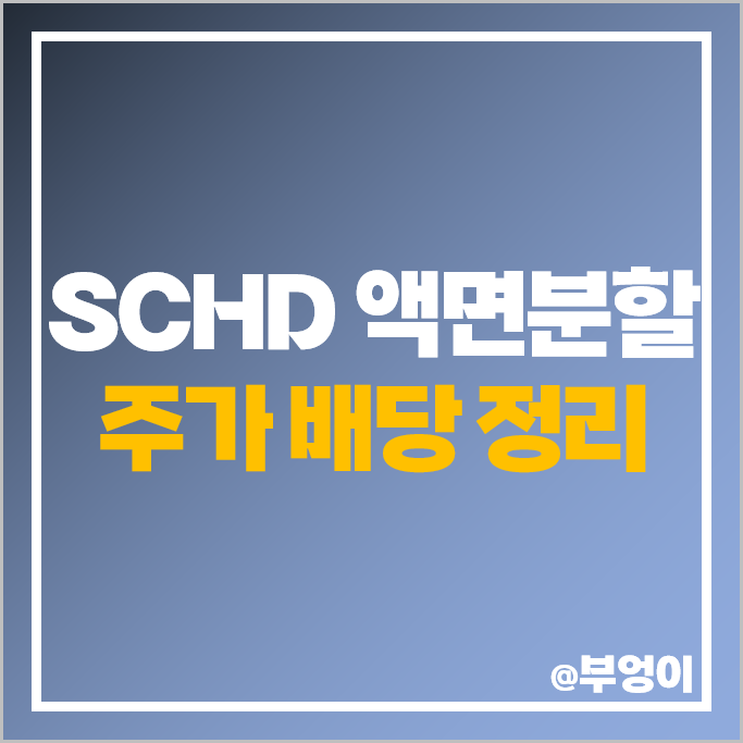미국 ETF SCHD 액면분할 일정 비율 주가 배당금 : 네이버 블로그