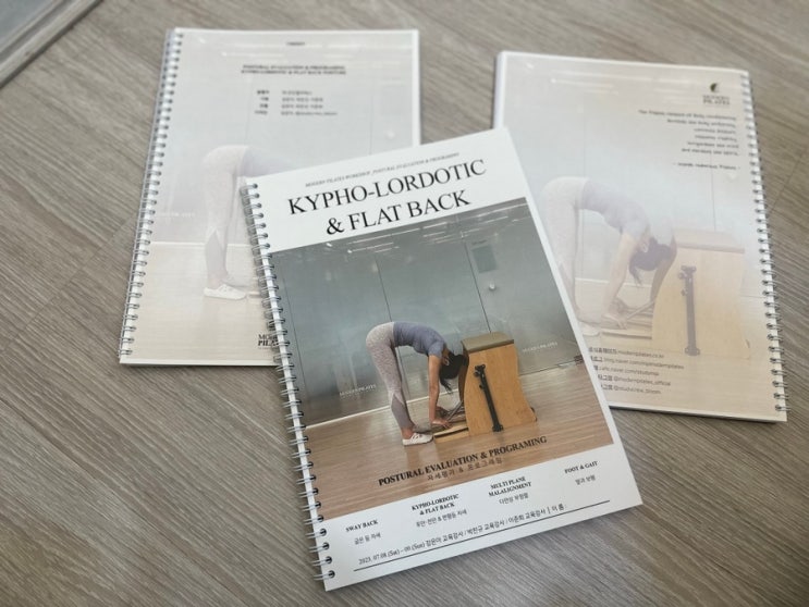 [ 필라테스 워크숍 ] 모던필라테스 자세평가 & 프로그래밍 Series 2. Kypho-Lordotic (전만후만) & Flat ...