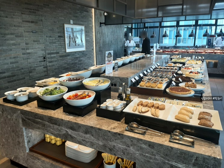 포포인츠 바이 쉐라톤 조선 서울 명동 에볼루션 예약 성공 2024년 1월1일 방문 주중 점심 성인 뷔페 후기 네이버 블로그
