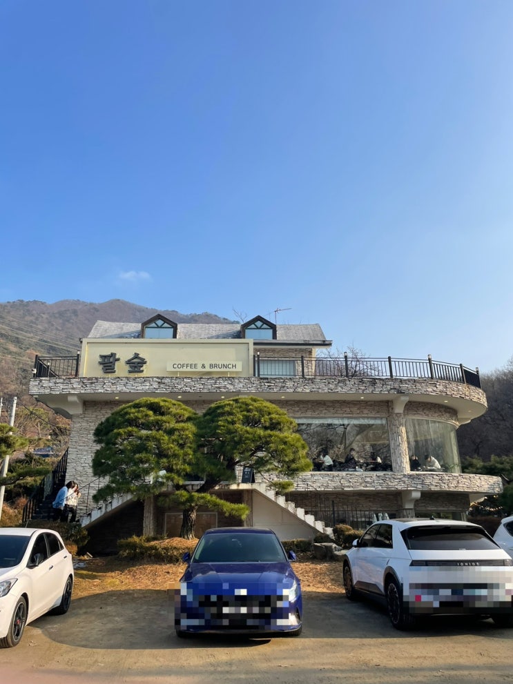 서울 근교 애견동반 가능한 통창뷰 남양주 카페 팔숲 네이버 블로그