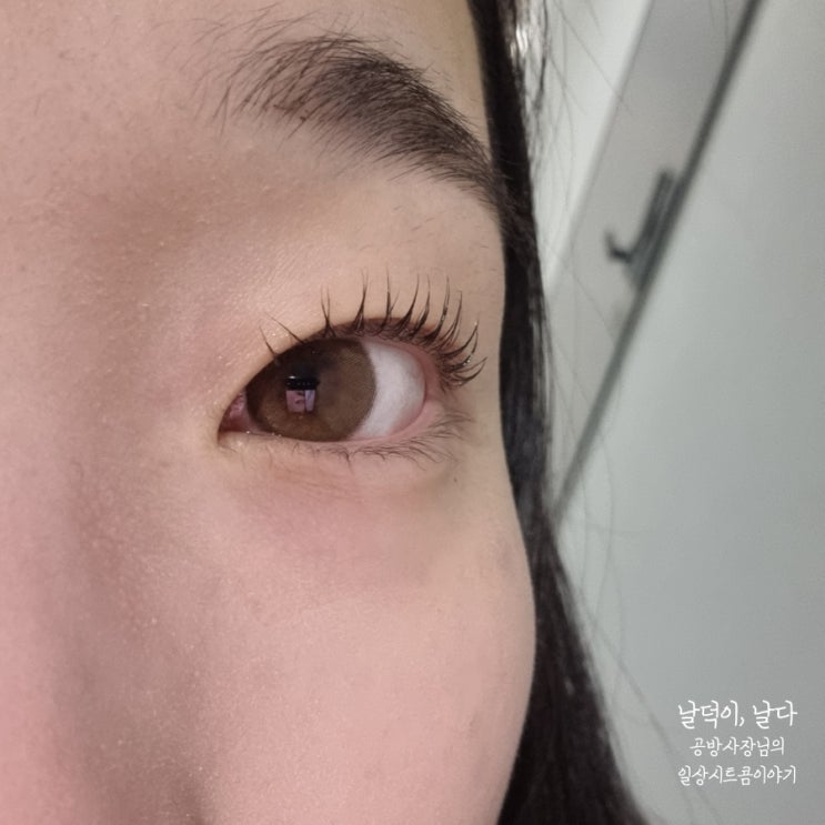 뷰러의 노예 드디어 첫 속눈썹펌...! / 청라 속눈썹펌 로아뷰티 : 네이버 블로그