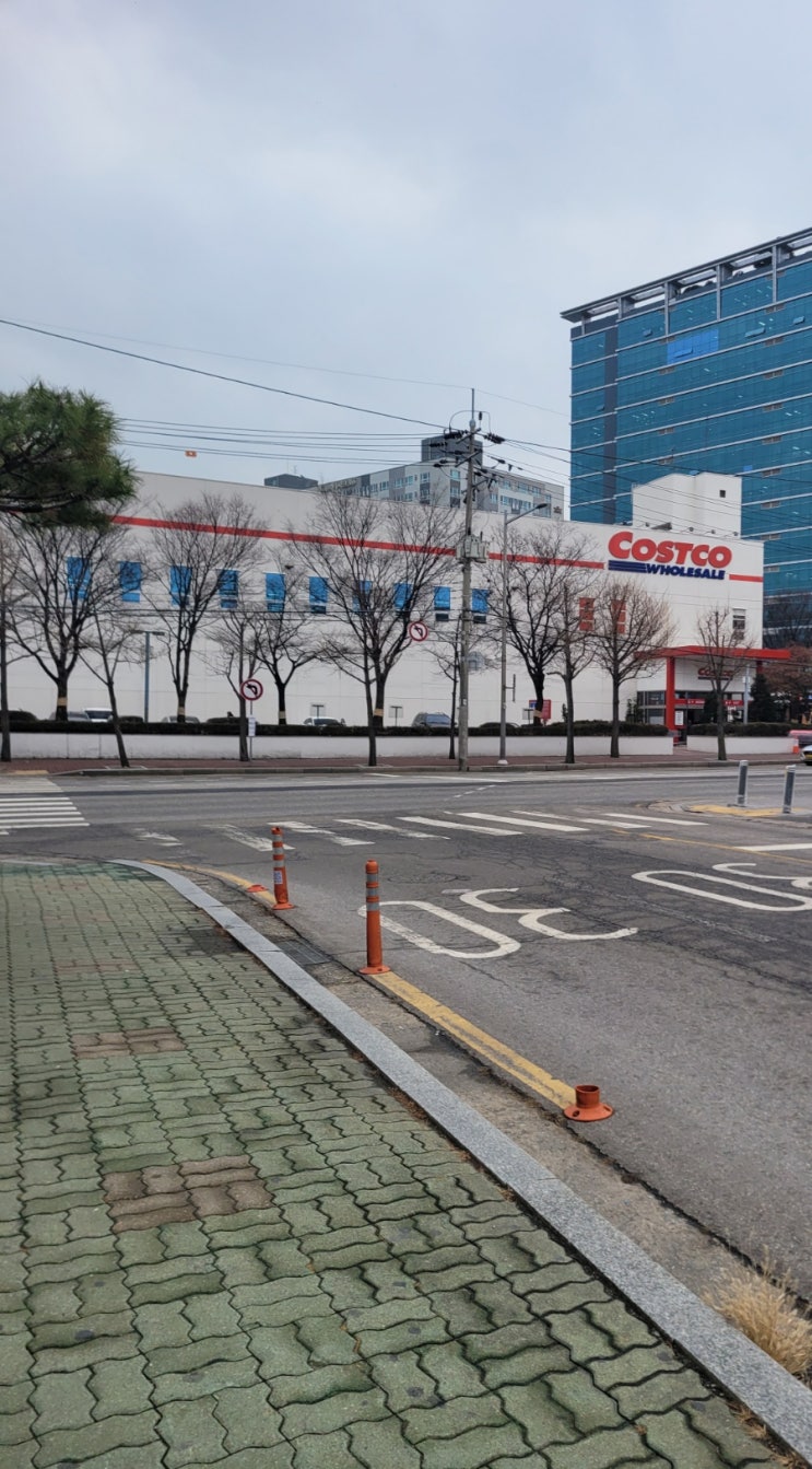코스트코 양평점 이번주1월 첫째주 할인상품 신상품 장바구니 쇼핑정보 네이버 블로그