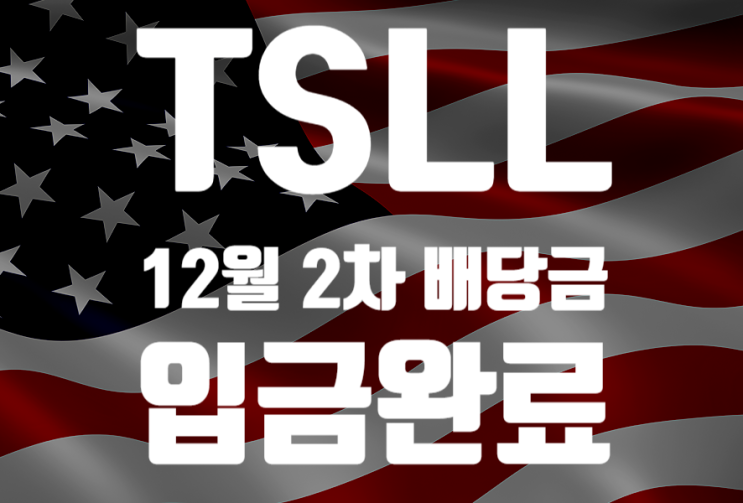 TSLL 12월 2차 배당금 입금 완료 디렉시온 테슬라 1.5배 ETF : 네이버 블로그