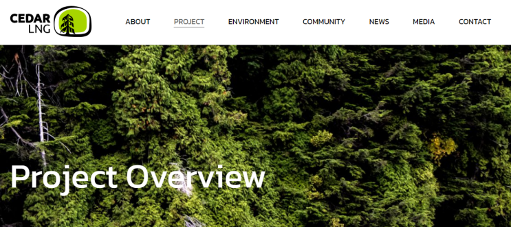 삼성중공업 Cedar(시더) FLNG 계약, 2024년 첫출발이 넘 좋네요! : 네이버 블로그