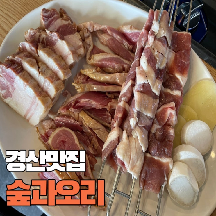 경산 점심 맛집 대구 한의대 밥집 경산 오리 맛집 숲과오리 네이버 블로그