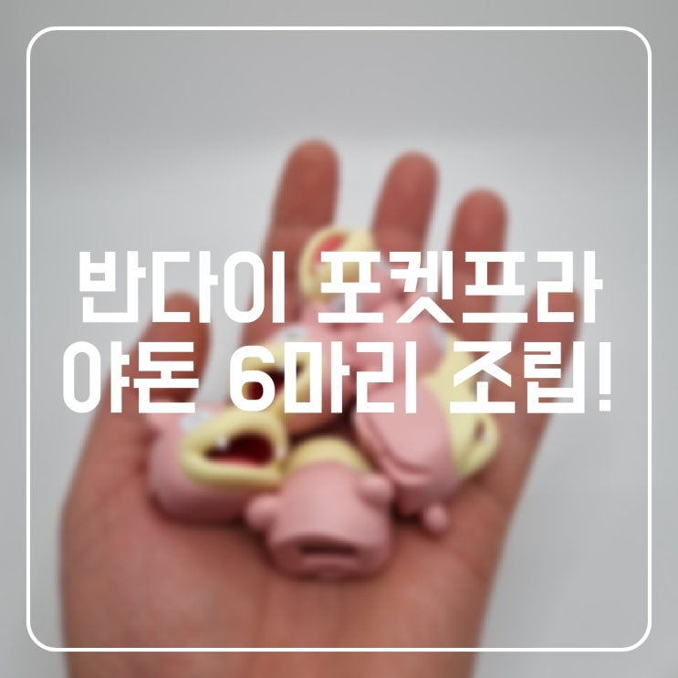 반다이 포켓프라 야돈 6마리 조립! : 네이버 블로그