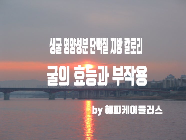 굴의 효능 생굴 100g 당 영양성분, 단백질 지방 함량, 칼로리, 부작용(노로바이러스 구토, 두드러기, 알레르기 알러지) : 네이버 블로그