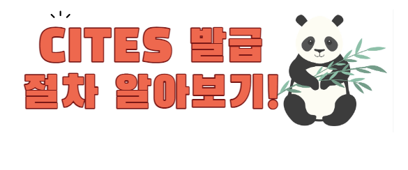 푸바오로 알아보는 CITES 발급 방법! : 네이버 블로그