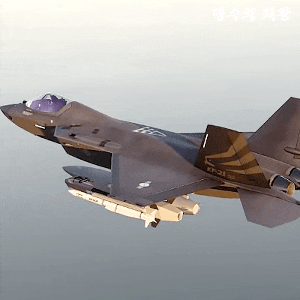 이재명 테러, 범행 도구, 칼자루 제거한, 칼이 맞아 #나무젓가락 형태는 자루 제거된 칼의 손잡이 #이재명의 부상이 경미한 이유 ...