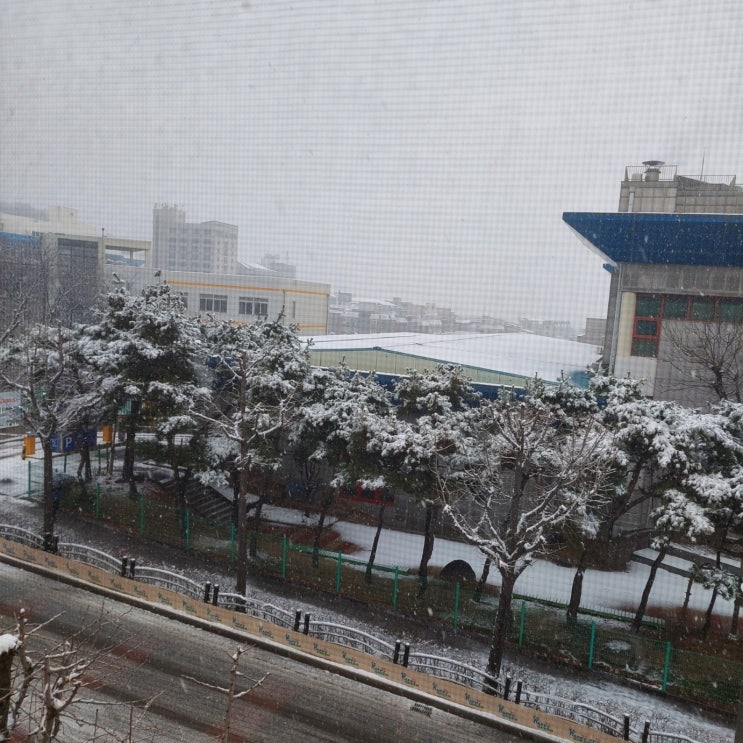 CPA 실무 2024: IRS 에서 EIN(사업자 고유번호) 받는 방법 : 네이버 블로그