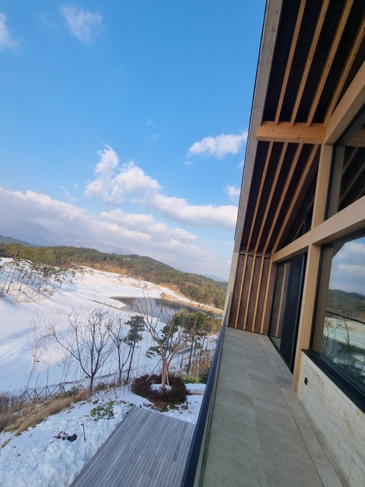 강원도 양양 숙소 리조트 설해원 콘도 And 호텔 투숙기 룸컨디션 온천여행 네이버 블로그