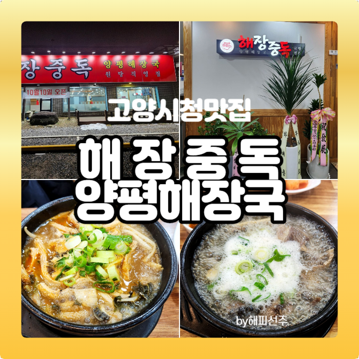 고양시청 근처 주교동 맛집 해장중독 양평해장국 속이 확 풀려요 네이버 블로그