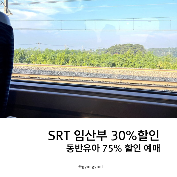 임산부 SRT 30%할인 동반유아 75%할인 예매하기 : 네이버 블로그