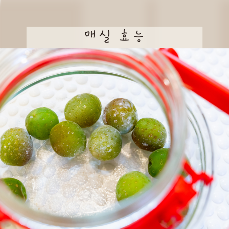 매실 효능 매실액 매실주 매실차 매실청 액기스 효능 효과 정리해 볼까 네이버 블로그