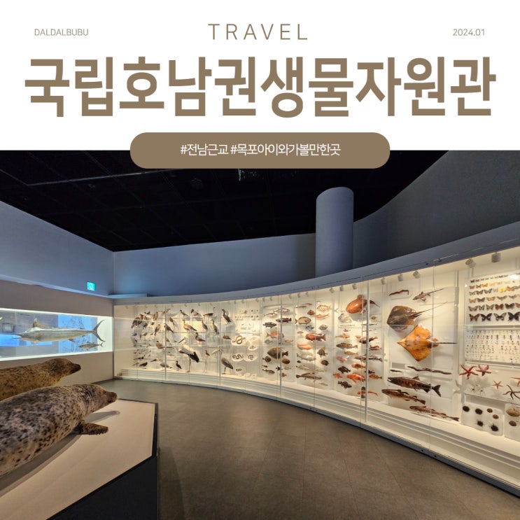 전남 근교 목포 아이와 가볼만한곳 국립호남권생물자원관 자연관찰 네이버 블로그