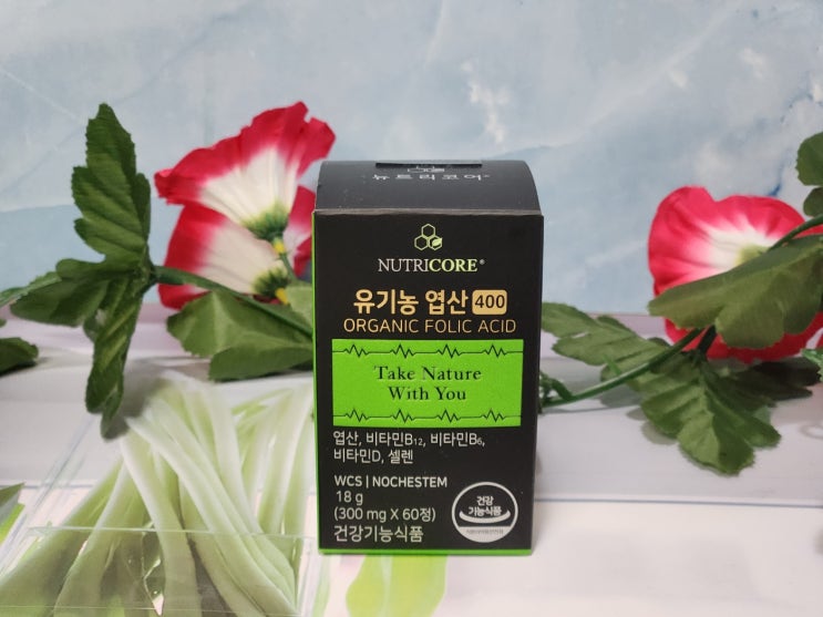 임산부 엽산 효능 효과 복용 추천 정리 Check 네이버 블로그