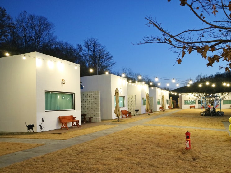 대구 근교 펜션 온수풀 수영장 있는 군위 이지파크 독채 숙소 네이버 블로그