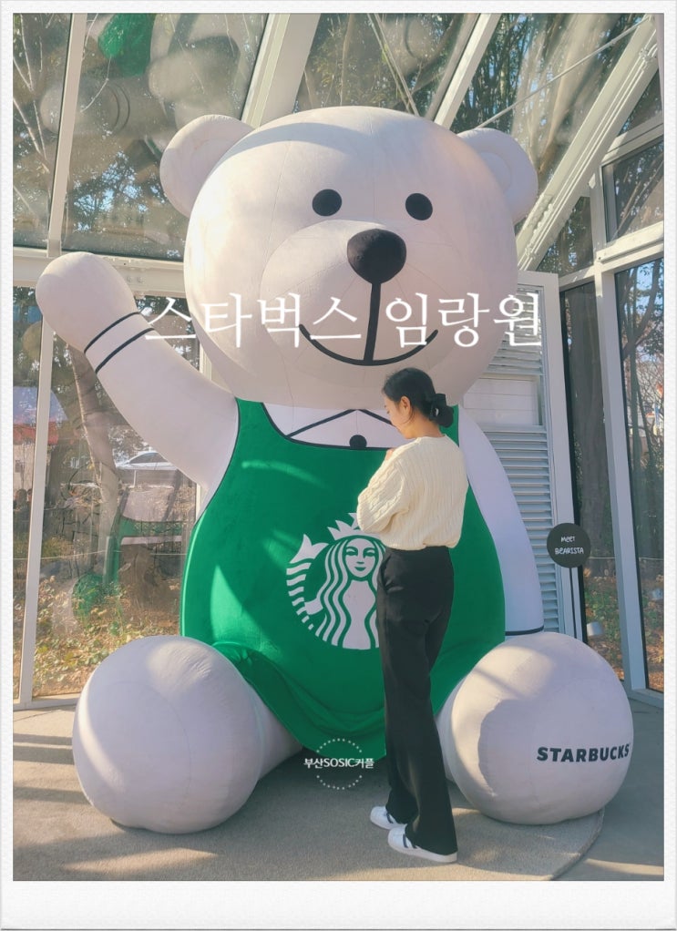 부산 1월 근교 데이트 코스 스타벅스 기장임랑원점 네이버 블로그