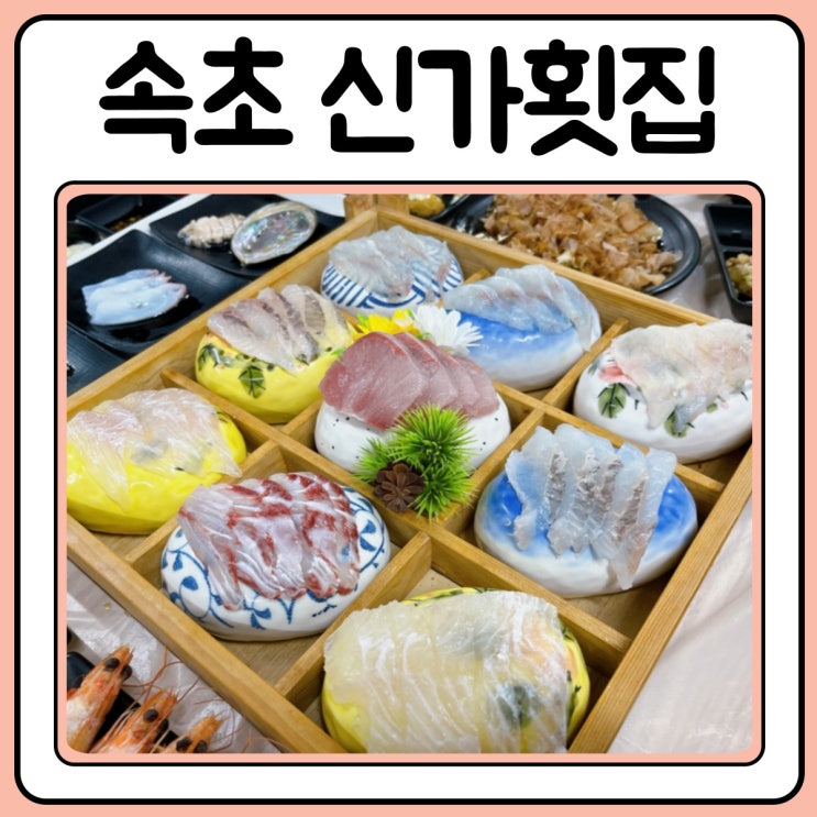 속초 물회 회포장 맛집 신가횟집 네이버 블로그
