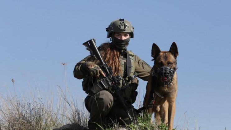 보병대의 선두엔, Oketz(K-9) [IDF 군견대] : 네이버 블로그