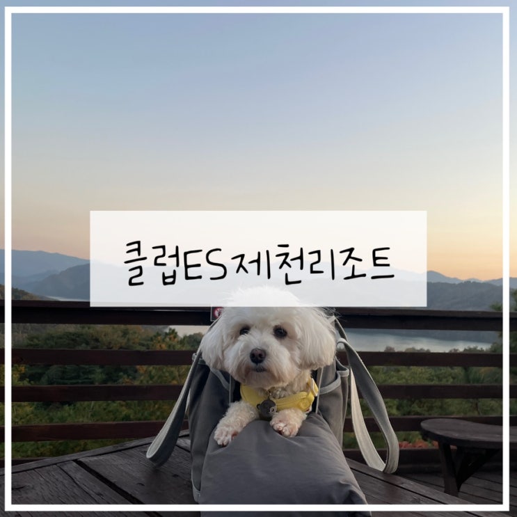 제천 반려견애견 동반 여행 숙소 추천클럽 Es이에스 제천리조트 네이버 블로그