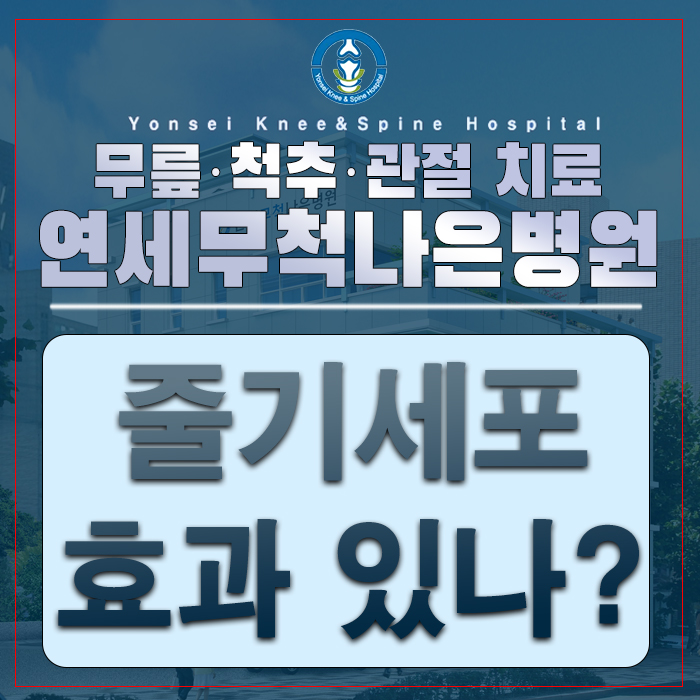 줄기세포 주사 효과 효능 실제로 무릎에 도움이 되는걸까 군자역병원 네이버 블로그