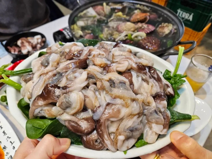 협찬×홍성 남당항 새조개샤브샤브 맛집 애견동반식당 추천 솔직후기 남해수산 네이버 블로그