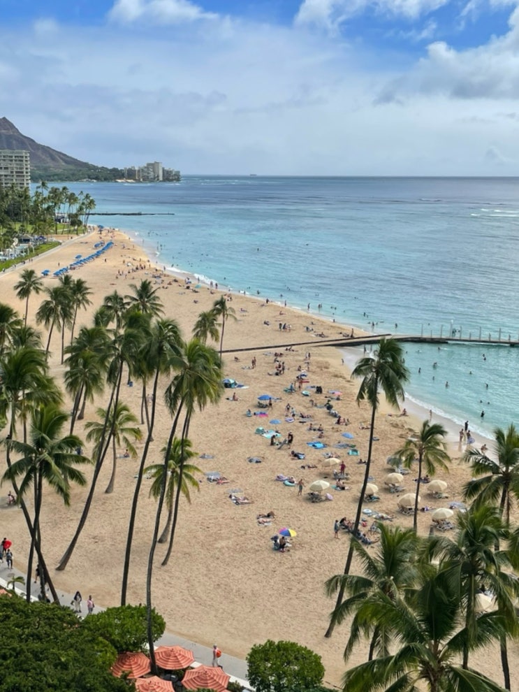 하와이 신혼여행🌴 Day1 신행은 Hawaii대한항공기내식후기한인노팁택시e Sim힐튼하와이안빌리지 레인보우타워