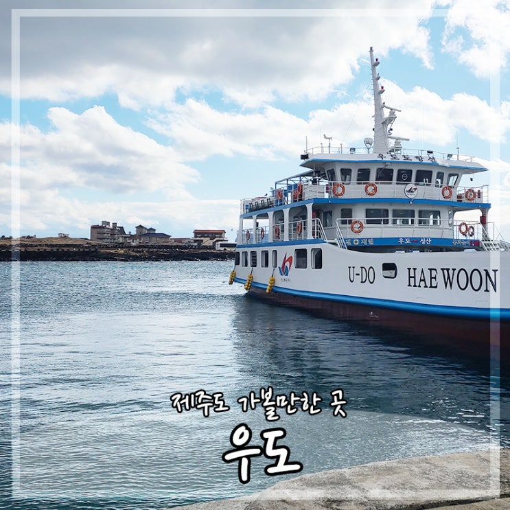 제주 우도 당일치기 여행 코스 코코 나라 타코밤 검멀레해변 백사해변 네이버 블로그