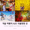 겨울 속초 아이와 가볼만한 곳 아이랑 속초여행코스 놀거리 네이버 블로그