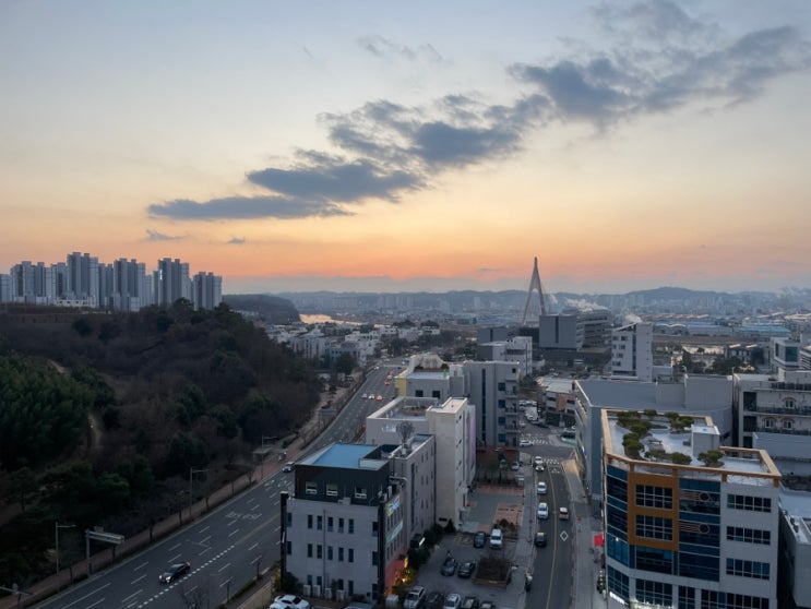 경남 진주 숙소 애견 동반으로 이용한 라온스테이 인 페를라 호텔 후기 네이버 블로그