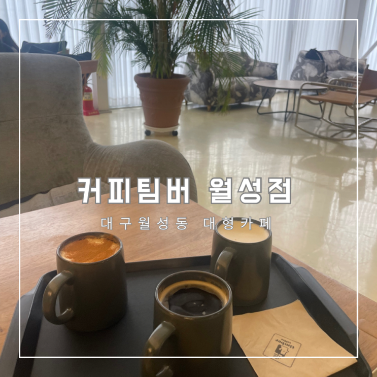 대구 커피팀버 월성점 월성동 커피팀버 월성동 대형카페 네이버 블로그