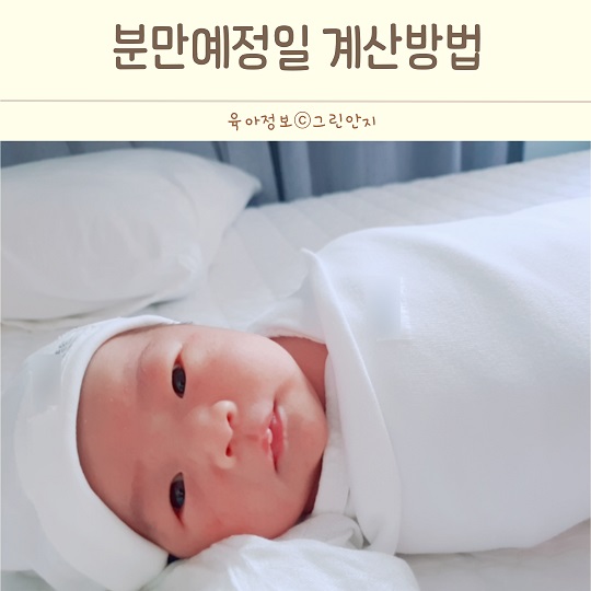 출산예정일 계산하는 법 분만예정일 임신 주수 주차 계산기 네이버 블로그